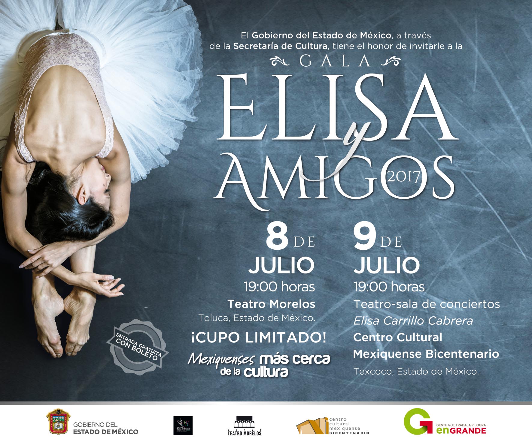 ELISA Y AMIGOS: 8 Y 9 DE JULIO Reporteros en Movimiento