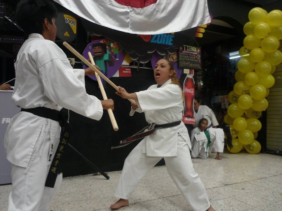 Reporteros en Movimiento Información sin Censura ARTES MARCIALES 2 ...