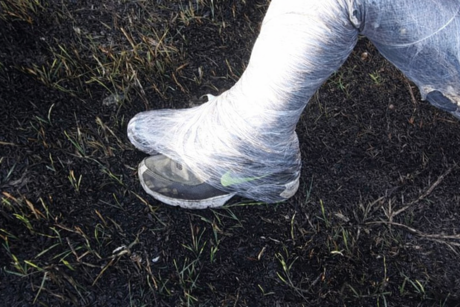 EDOMÉX; Envuelto en plástico, así fue hallado un cuerpo en carretera de ...